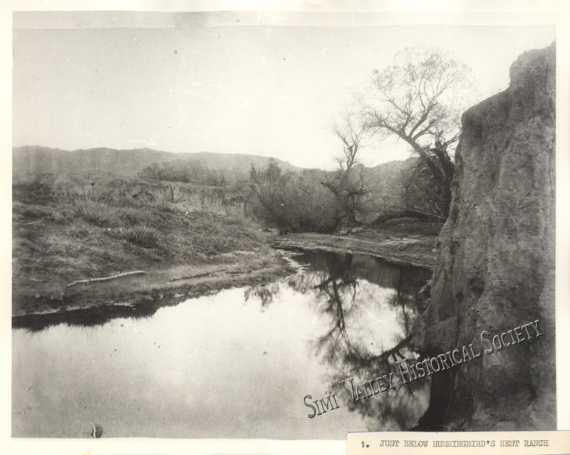Nido de Chuparosa and Frog Legs… – Strathearn Historical Park and Museum